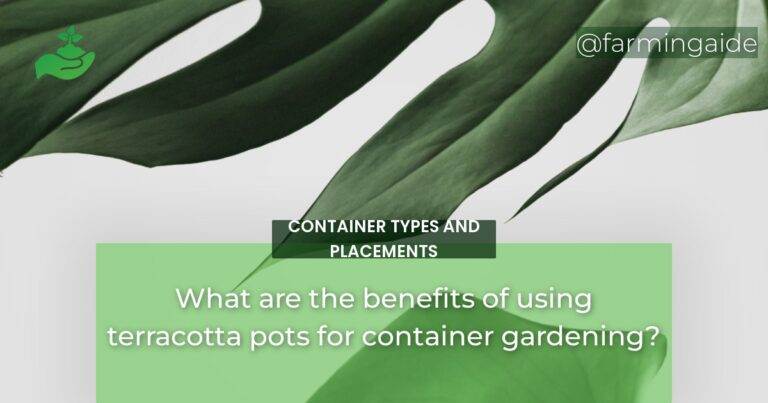 What are the benefits of using terracotta pots for container gardening?