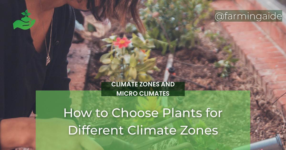 Climate Zones and Micro Climates - Farming Aide