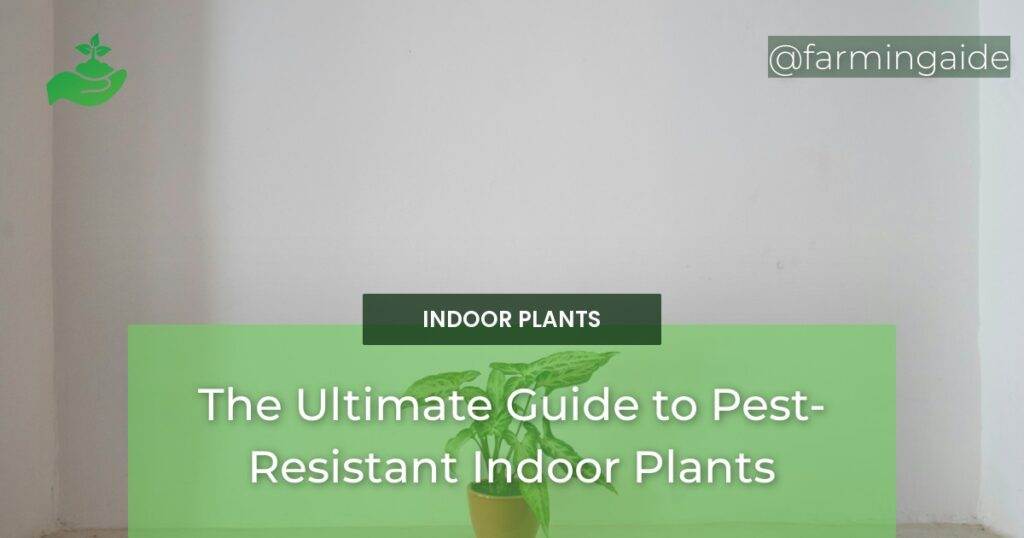 The Ultimate Guide to Pest-Resistant Indoor Plants