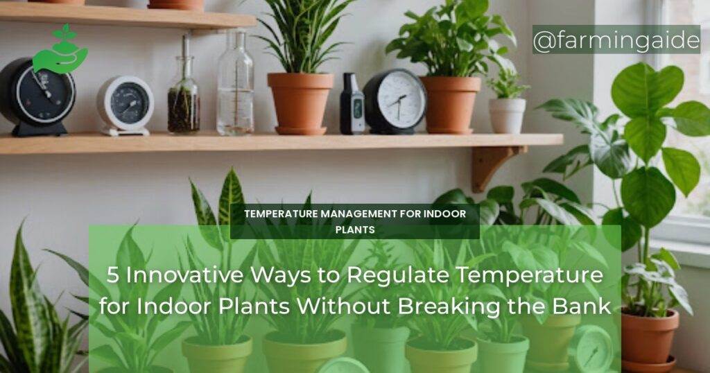 5 Innovative Ways to Regulate Temperature for Indoor Plants Without ...