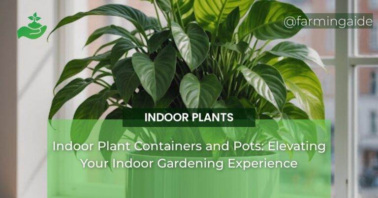 Indoor Plant Containers and Pots: Elevating Your Indoor Gardening ...