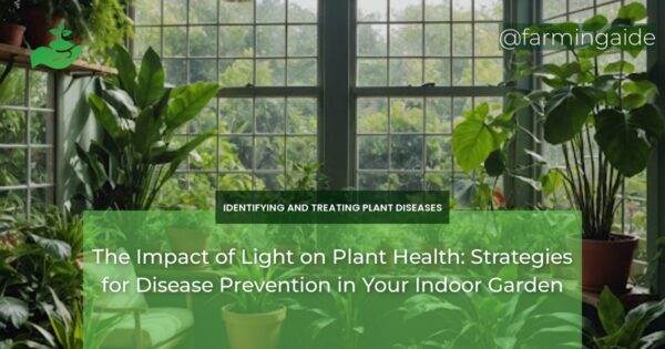 The Impact of Light on Plant Health: Strategies for Disease Prevention ...