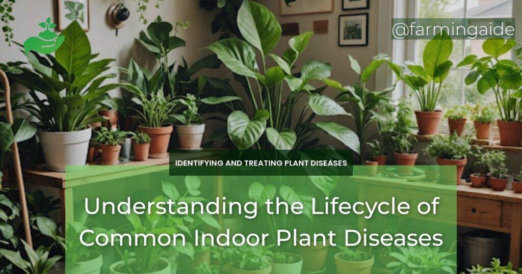 Identifying and treating plant diseases - Farming Aide
